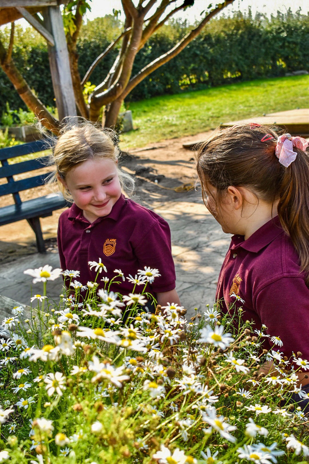 School Life 1 - Clare Community Primary School